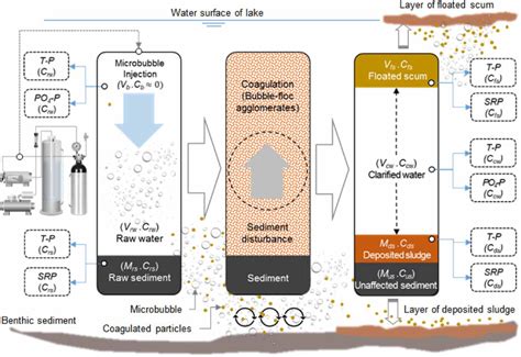 Schematic Diagram Of P Trace Investigation For The Stepwise Download Scientific Diagram