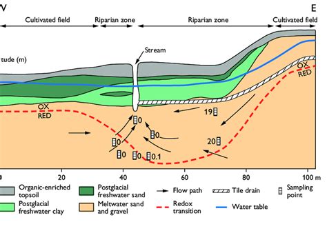 Example Of A Cross Section Along Hagens Møllebaek 10 Times Vertical Download Scientific