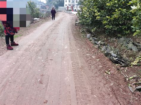 村村通公路路面硬化 群众呼声 四川网络问政理政平台 资阳市委书记