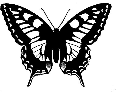 Butterfly Png Outline Png Image Collection Porn Sex Picture