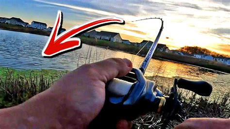 Spring Bass Fishing Bass Manager The Best Bass Fishing Page On The
