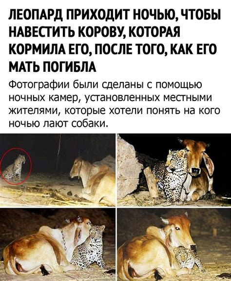 Минутка юмора cОЛЯНКА Дзен