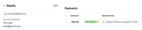 Seamlessly Integrating Stripe Payment APIs with Node.js