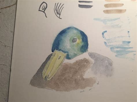 Bird Academy • The Cornell Lab