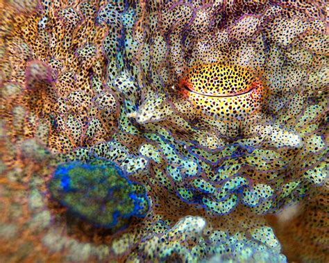 Scientific Photography Where Art And Science Collide