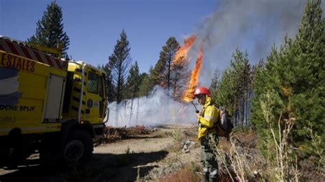 Los Incendios Afectaron 28 Mil Hectáreas En Río Negro Adn