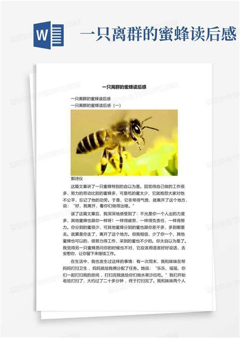 一只离群的蜜蜂读后感 Word模板下载 编号lxwmvnzz 熊猫办公