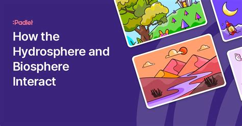 How The Hydrosphere And Biosphere Interact