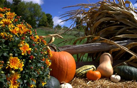 Harvest