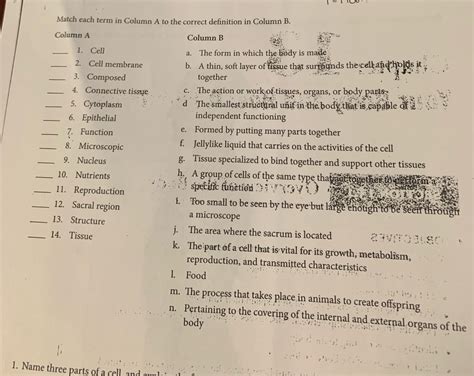 Answered Match Each Term In Column A To The Bartleby