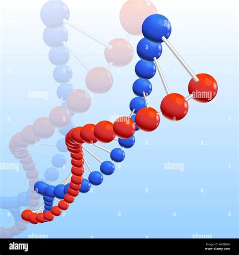 Hereditary Analysis Hi Res Stock Photography And Images Alamy