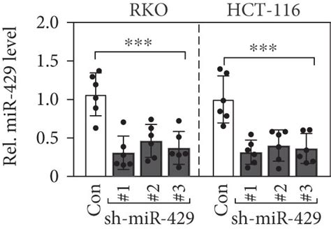 Sh Mir 429 Inhibits Tumorigenesis Both In Vitro And In Vivo A