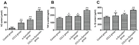No Content And Tnf α Il 1β Detection In The Control Ccl2 α Synuclein