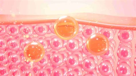 Prp Under Eye Treatment Professionals In Melbourne Plasma Therapy