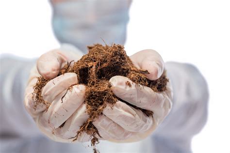 Diseases That May Be Spread If You Don T Manage Your Manure Spreaders VTI