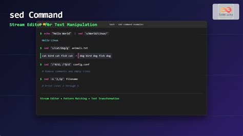 Vim Command Linux Master The Ultimate Text Editor With Advanced Techniques Codelucky