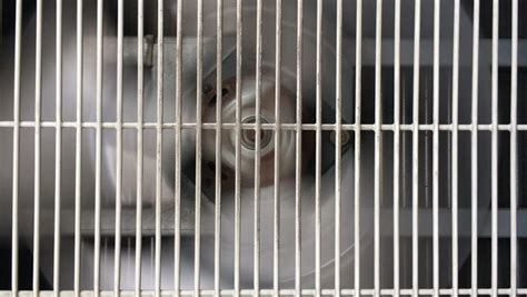 A Static Camera Closeup Of The Door Slamming Shut A Brick Jail Cell