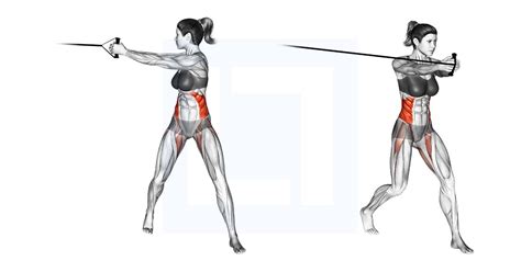 Curl Up Guide Benefits And Form