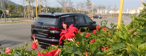 春游三张河湿地混动凯捷看春暖花开 搜狐汽车 搜狐网