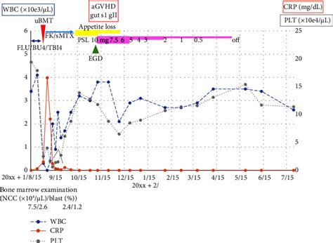 Allogeneic Hematopoietic Stem Cell Transplantation For Acute Myeloid