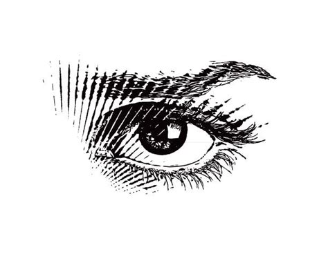 520 Female With Raised Eyebrow Stock Illustrations Royalty Free