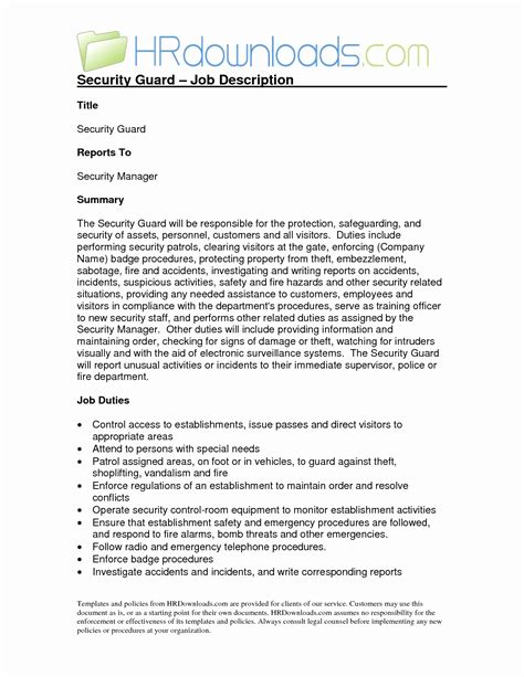 Security Report Example