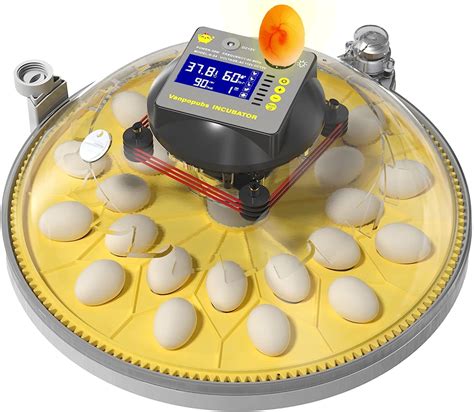 Incubators For Hatching Eggs 24 Egg Incubator With Automatic Egg