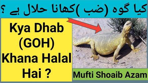Kya Dhab Lizard Goh Khana Halal Hai By Mufti Shoaib Azam Youtube