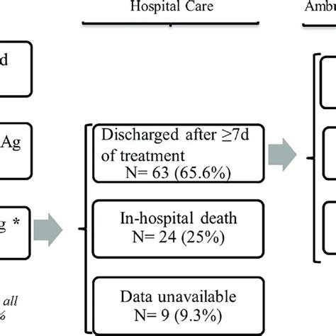 Flow Diagram For Patients Screened And Diagnosed With Cryptococcal Download Scientific Diagram