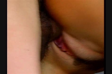 Hustler Casting Couch X 7 2003 Adult Dvd Empire