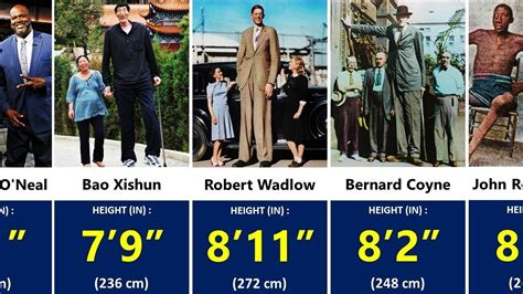 Tallest People In The World Height Comparison Youtube