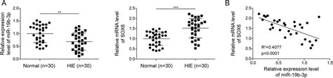 Mir 19b 3p And Sox6 Expression In Patients With Hie The Umbilical