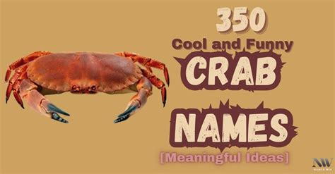 350 Cool And Funny Crab Names And Generator Meaningful Ideas