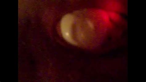 Egg In Vagin Xxx Mobile Porno Videos And Movies Iporntvnet