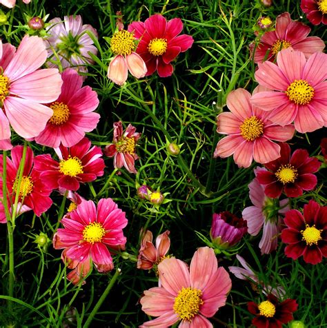 New And Second Бүх Хувцас 5000 10 000 төгрөг