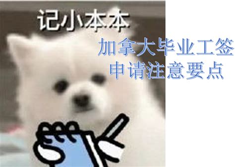 加拿大毕业工签申请要点 知乎