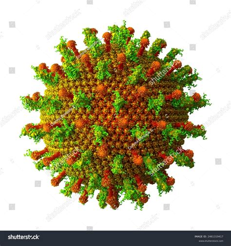 Hepatitis Virus Types B C Causes Stock Illustration 2461319417
