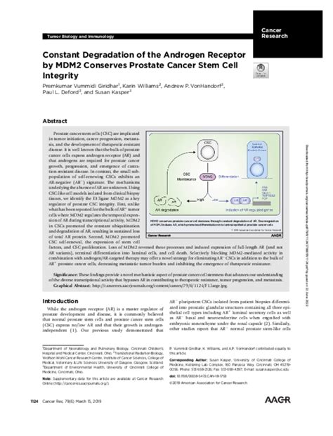Pdf Constant Degradation Of The Androgen Receptor By Mdm2 Conserves