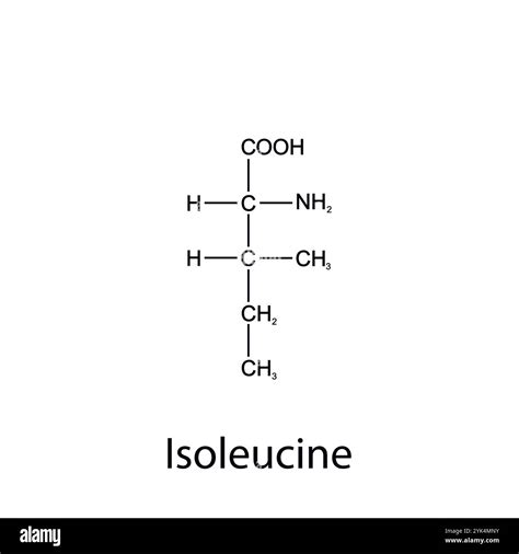 Chemical Formula Of Isoleucine Essential Amino Acids Organic