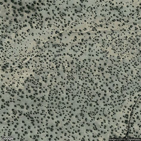 Fatal Migrations 2001 2016