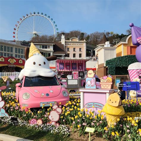 아기랑 에버랜드 산리오 테마가든과 튤립정원 폼폼푸린 페스티벌 트레인 네이버 블로그