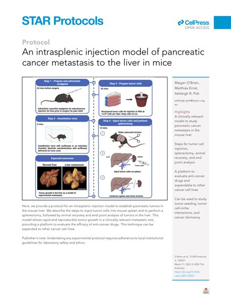 Pdf An Intrasplenic Injection Model Of Pancreatic Cancer Metastasis To The Liver In Mice