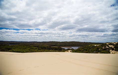 Lazy Gecko Photography All Photographs