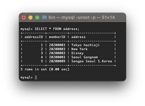 MySQL RIGHT JOIN문 MySQL 입문 EVERDEVEL