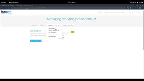 Easy And Free Remote Access For Home Assistant