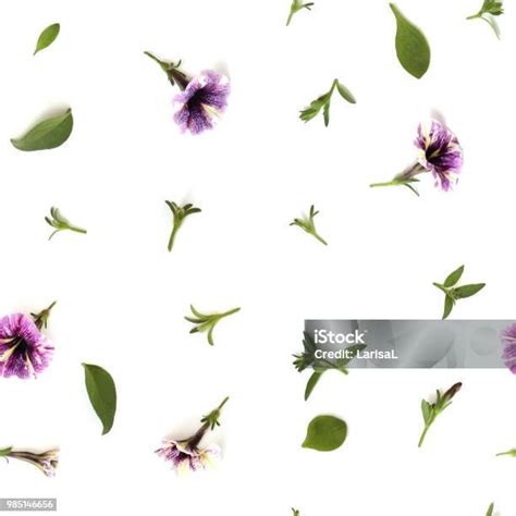 완벽 한 꽃 패턴입니다 섬세 한 꽃 봉 오리와 잎 야채입니다 흰색 배경에 고립 평면도 플랫 하다 배경 화면 배경 화면 그림 엽서 및 다양 한 디자인에 사용할 수 있습니다 0