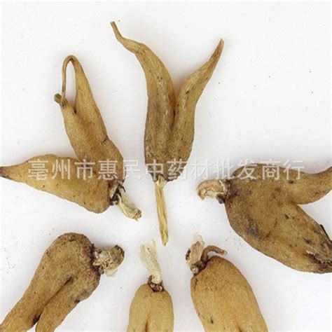 手掌参阴阳参佛手参手儿参手掌参 一公斤手掌参初级农产品 阿里巴巴