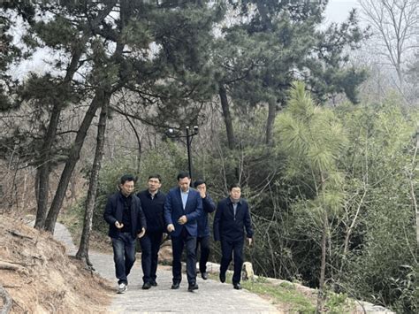 省林业局调研我市松材线虫病除治工作防控领导审核