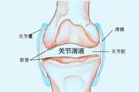 为何血尿酸显著降低比血尿酸升高更容易诱发痛风发作