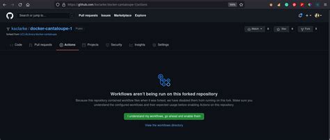 The Github Actions Should Not Run In Private Forks · Issue 126